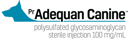 Prescribing Information | Adequan® Canine